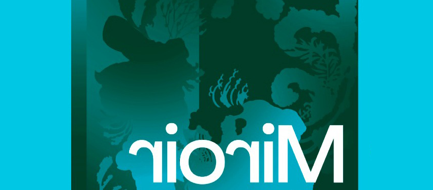 "Miroitements" | FMSH