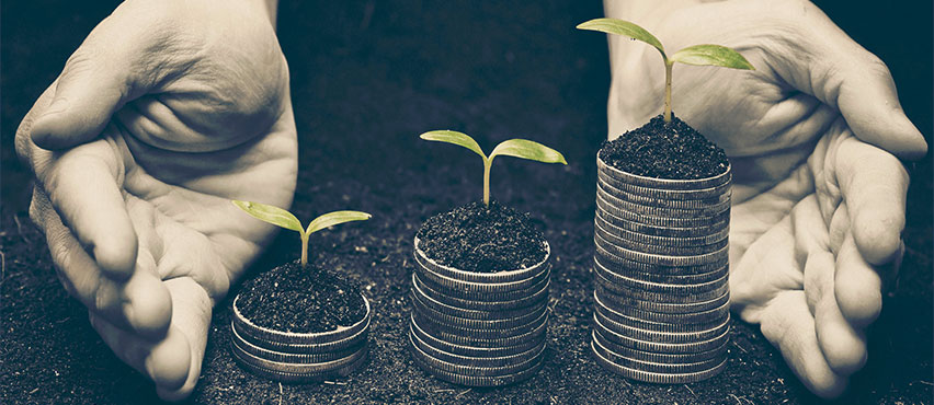 L'évaluation des programmes | FMSH