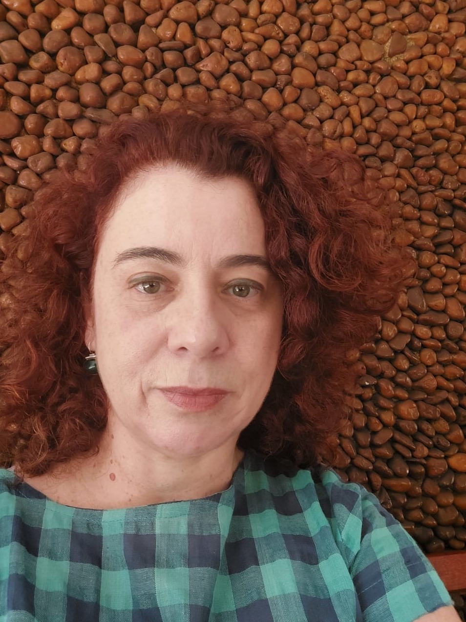 Ana Paula Cavalcanti Simioni | FMSH
