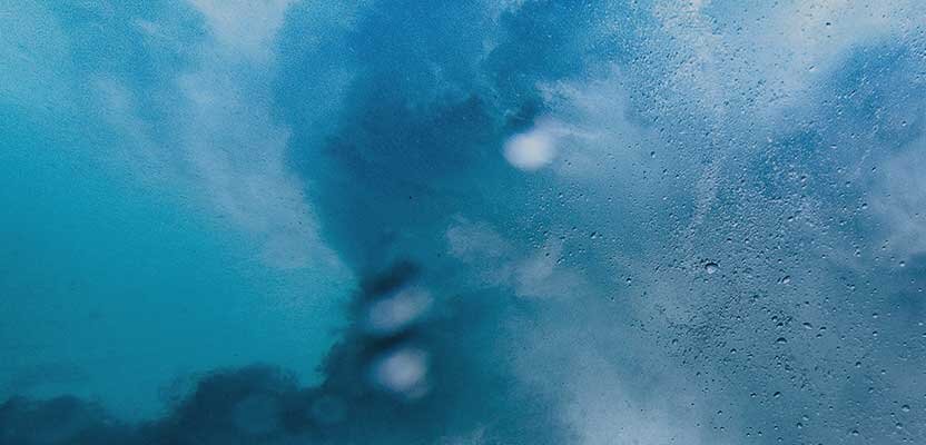 Nos programmes | FMSH